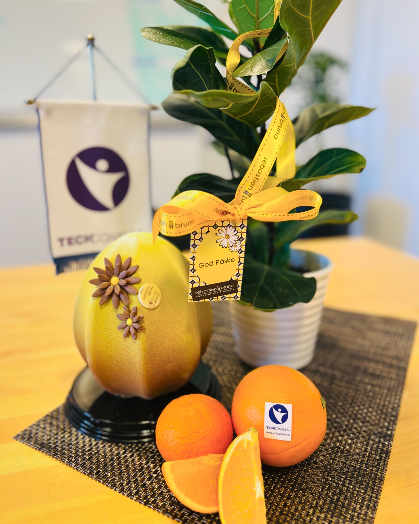 Hjem — Techconsult AS