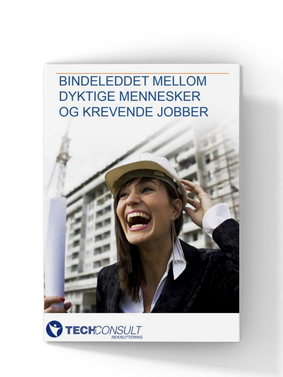 Recruitment for permanent positions — Techconsult AS